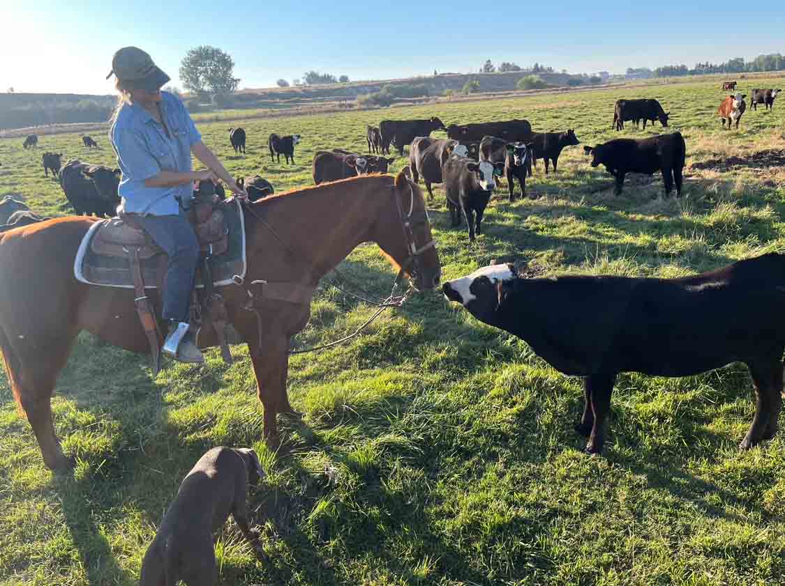 Behind the Brand – Bar Snake Beef