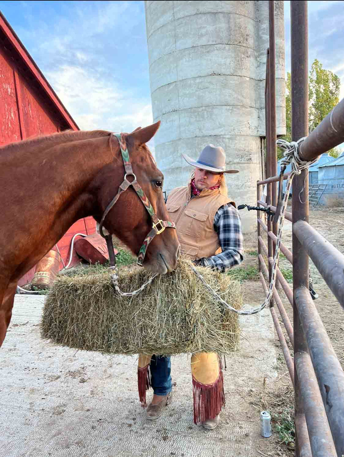 Bar Snake Beef - Online Beef Delivery