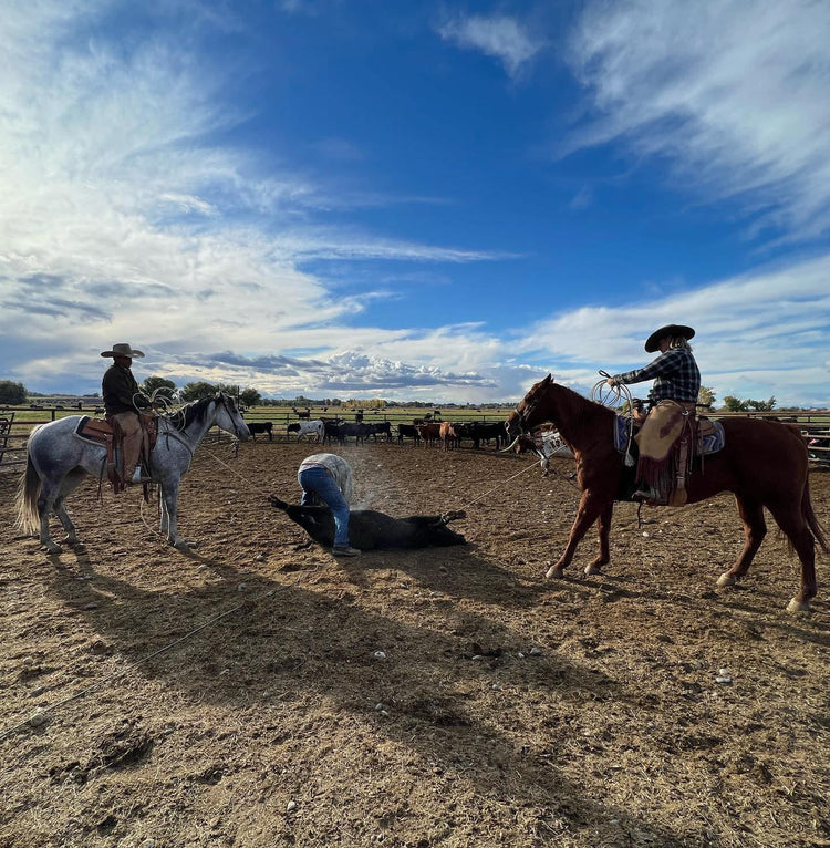 Bar Snake Beef - Online Beef Delivery
